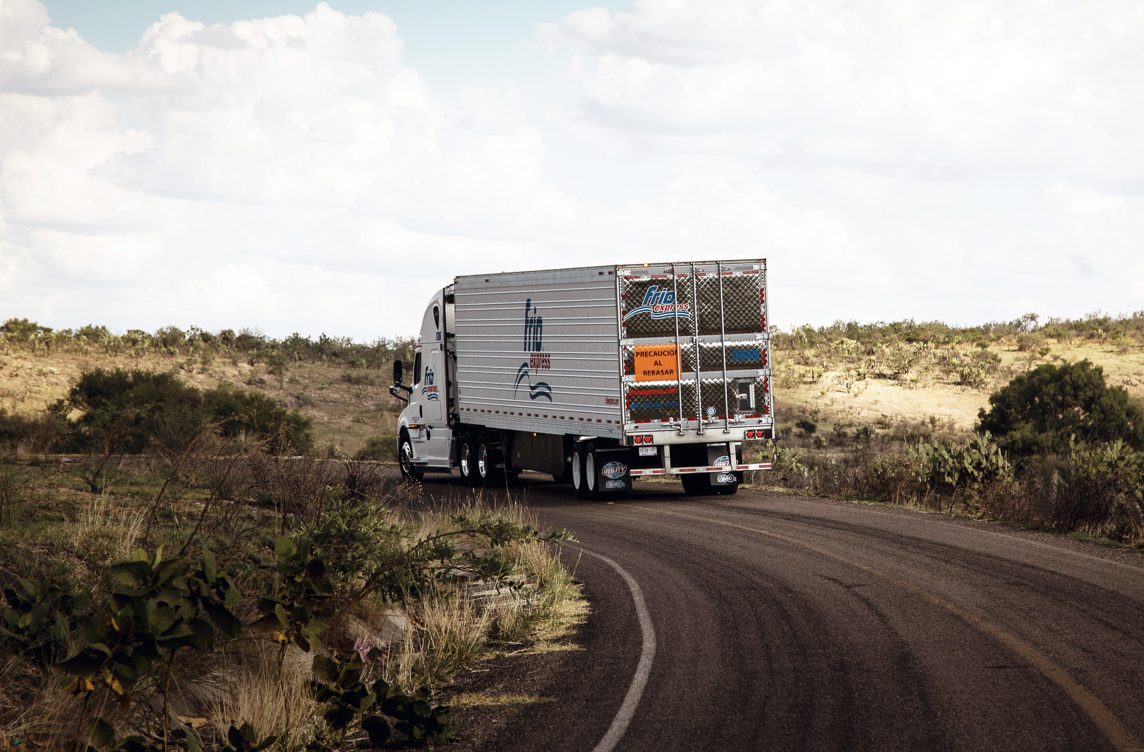 En Su 40 Aniversario, Frio Express Apuesta Fuerte Por La Digitalización ...