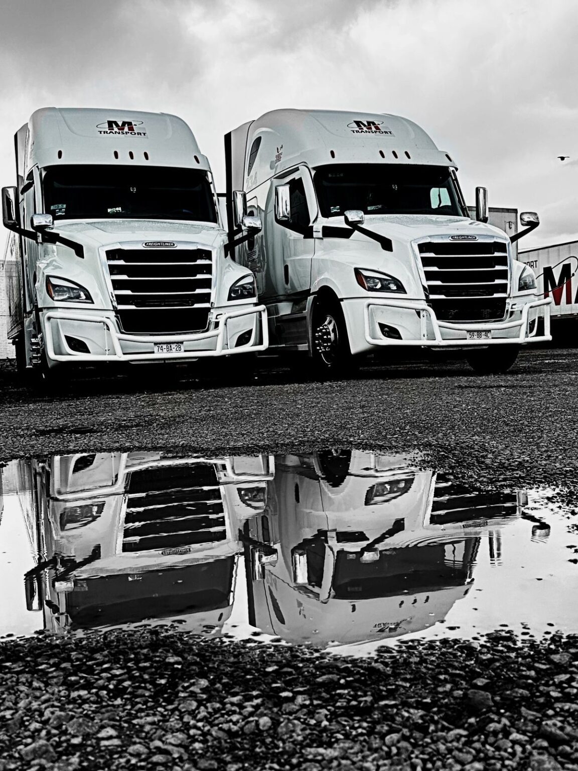 El Legado De Transport Martin, Algo Más Que Solo Una Empresa De ...